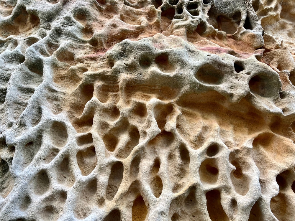 Tripofobia: o medo de pequenos buracos agrupados | Vida Saudável - Vida ...