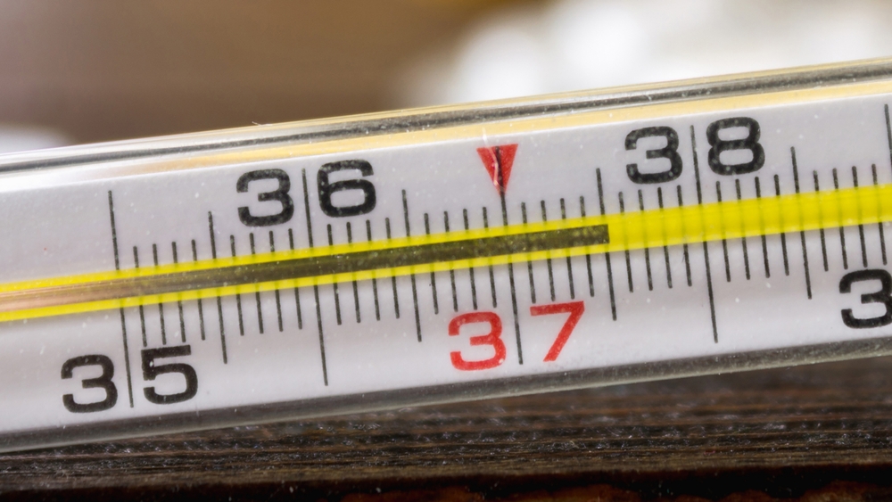 Quem é Infectado Sempre Apresenta Febre? Veja os Sintomas - Vida Plena ...